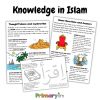 Activity Pages - Primary Ilm
