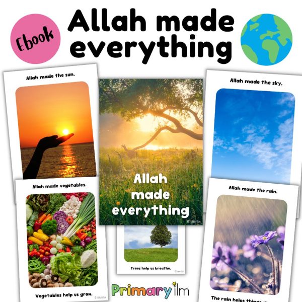 Allah the creator - Primary Ilm