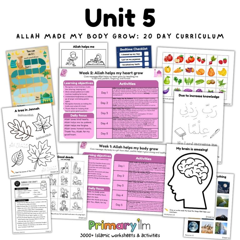 Schools - Primary Ilm